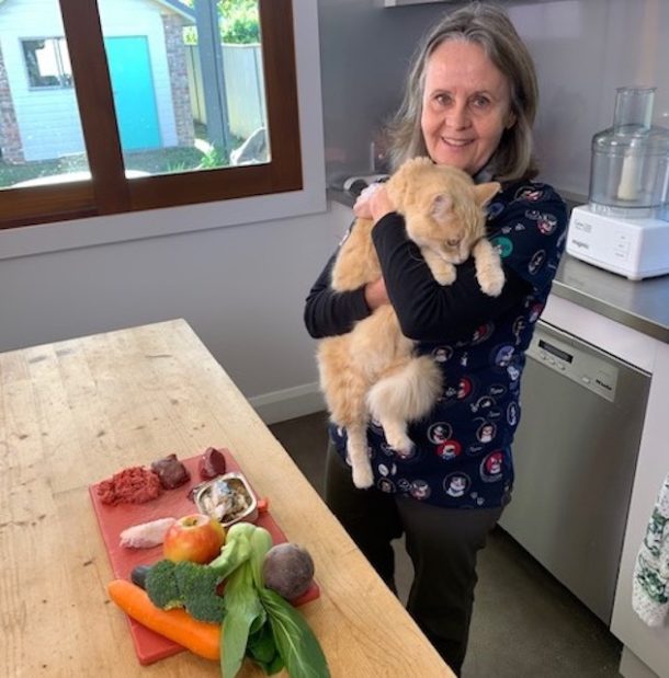 A holistic vet's view on a raw, natural diet for dogs - Pooches At Play