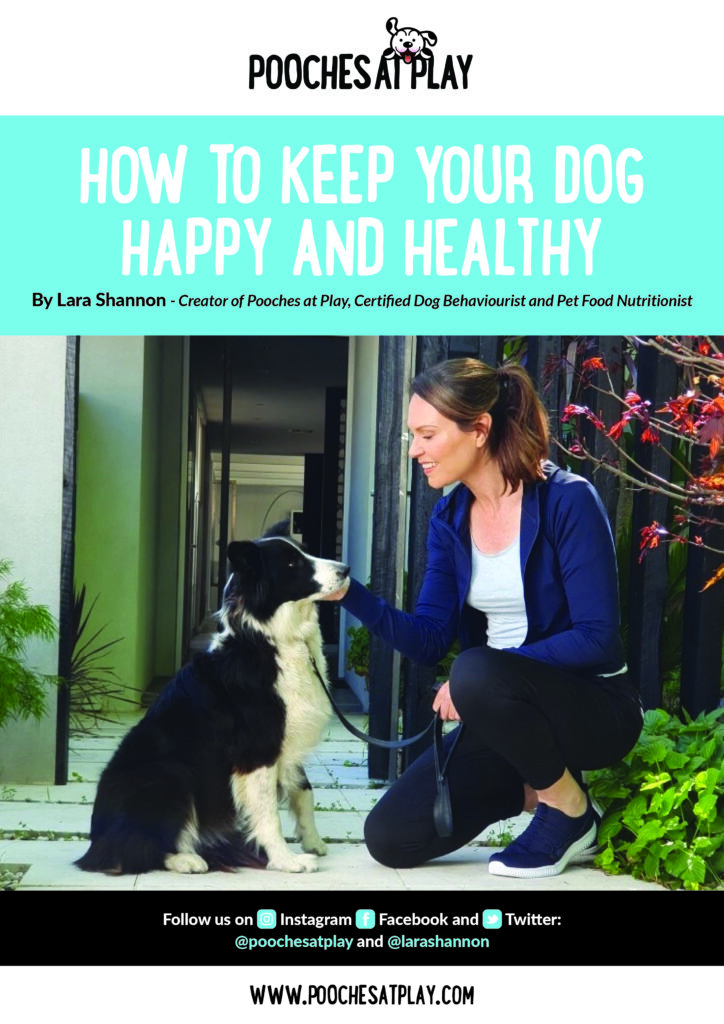 Pooches At Play | Lifestyle TV Series and website with Dog Trainer ...