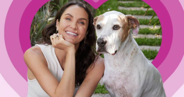 Pooches At Play | Lifestyle TV Series and website with Dog Trainer ...